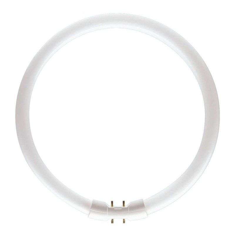 Philips Master TL5 22W/830 Circular / Ring 2GX13 online kaufen ...